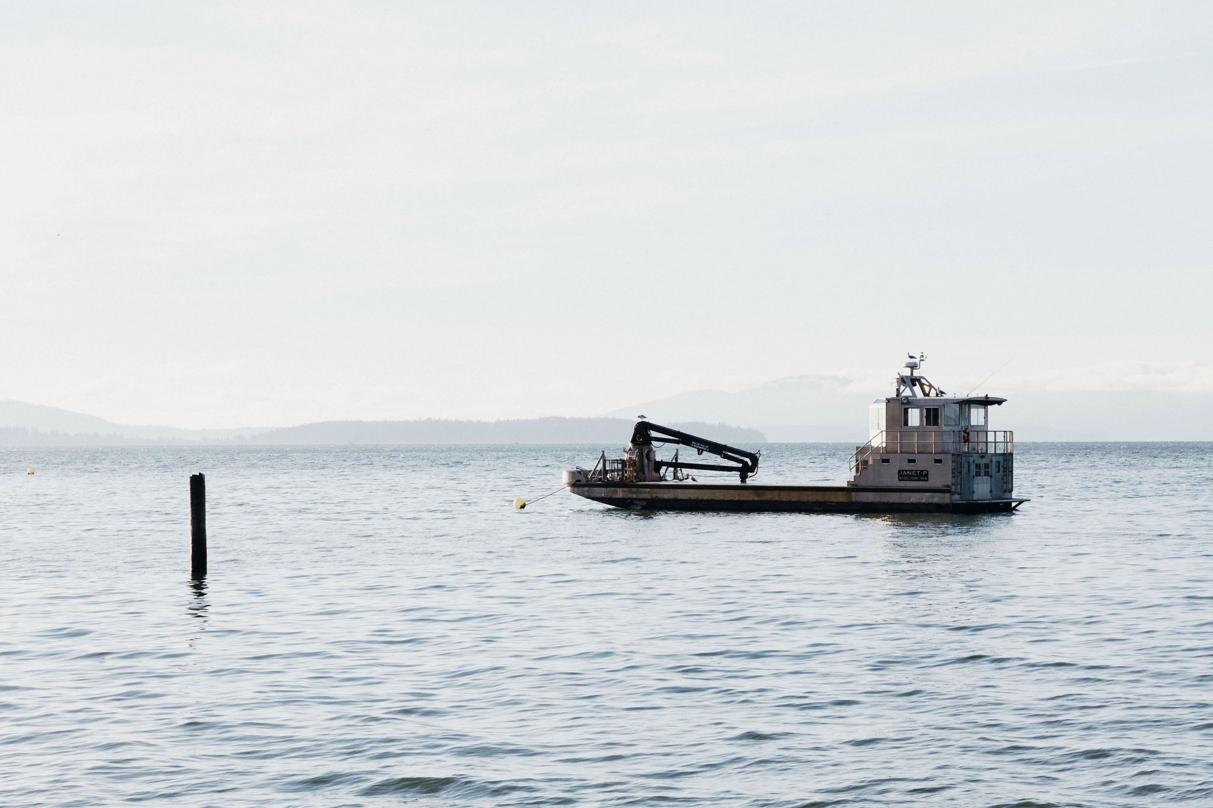 Fresh Shellfish & Oyster Bars in Seattle | Taylor Shellfish Farms