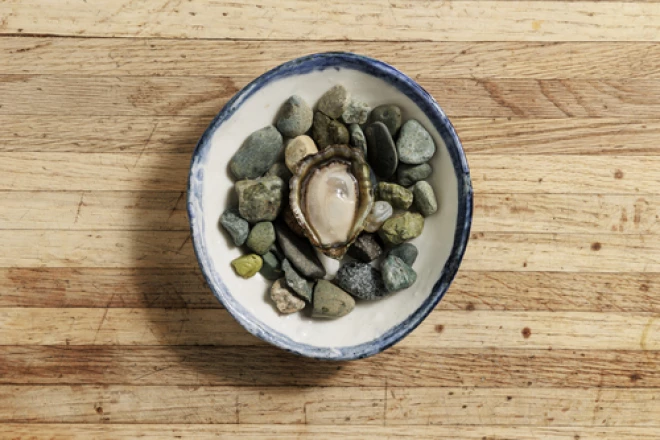 Our Shellfish | Taylor Shellfish Farms