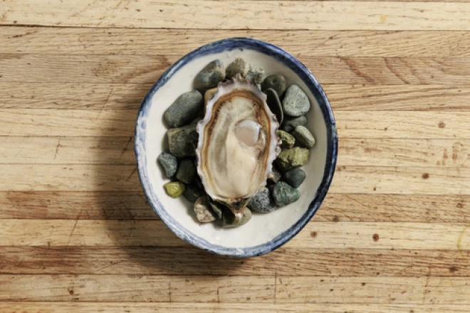 Our Shellfish | Taylor Shellfish Farms