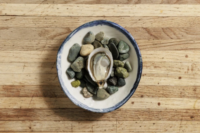 Our Shellfish | Taylor Shellfish Farms