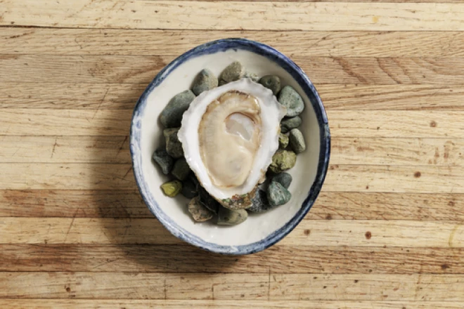 Our Shellfish | Taylor Shellfish Farms