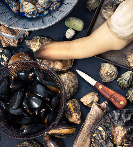 Taylor Shellfish Farms | Taylor Shellfish Farms, Seattle WA